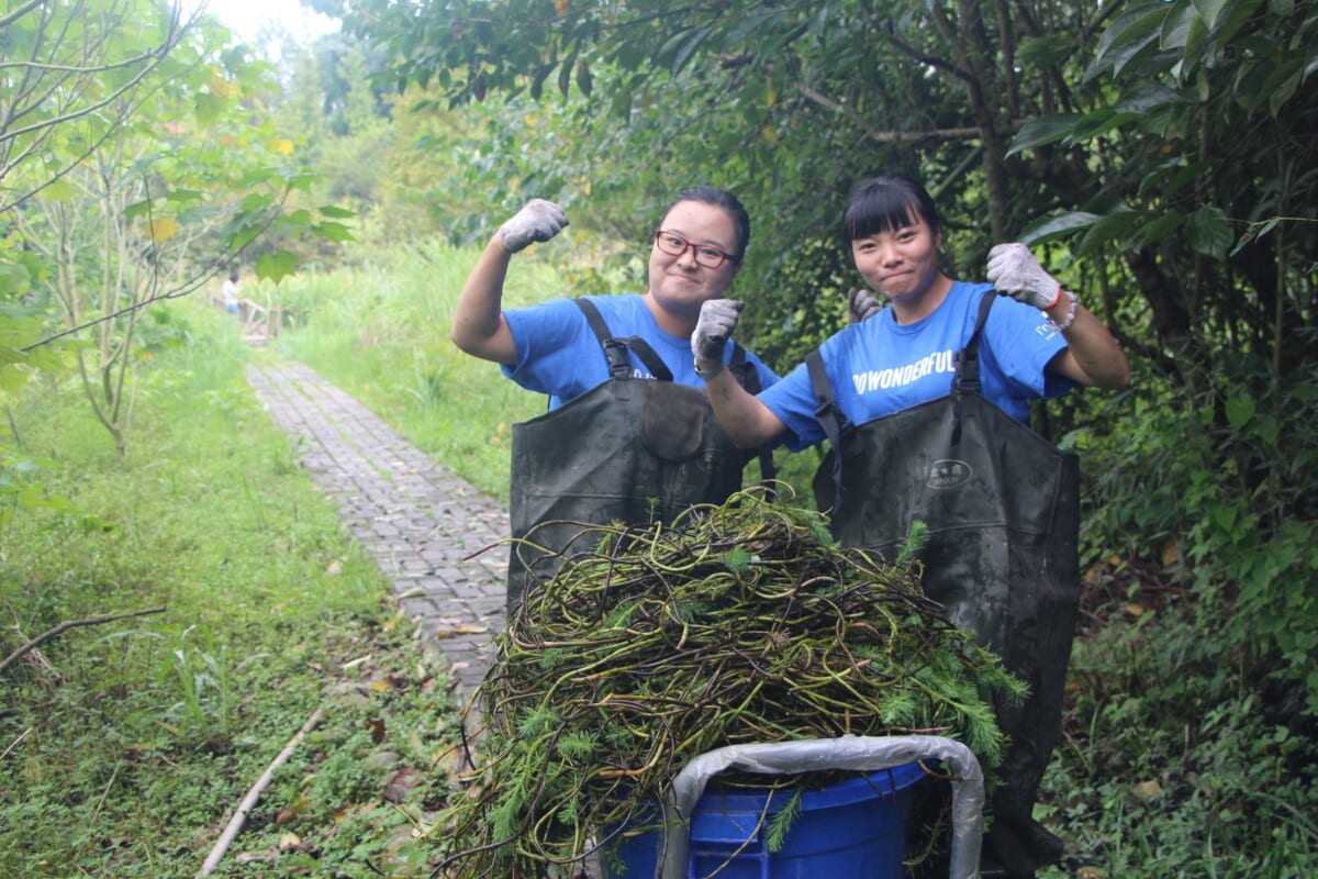 Engaged around the World: Five Principles for Increasing Employee ...