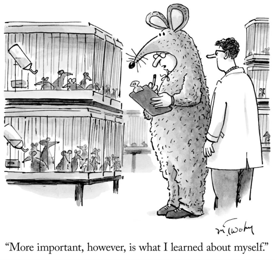 The Science of Cartoon Thinking: Proving That Making People Laugh Can ...